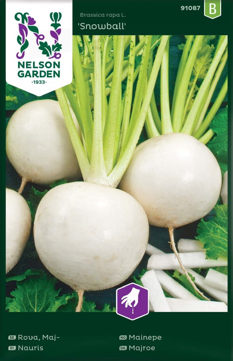 Majroe - Majroe, Snowball - Duelunds planter