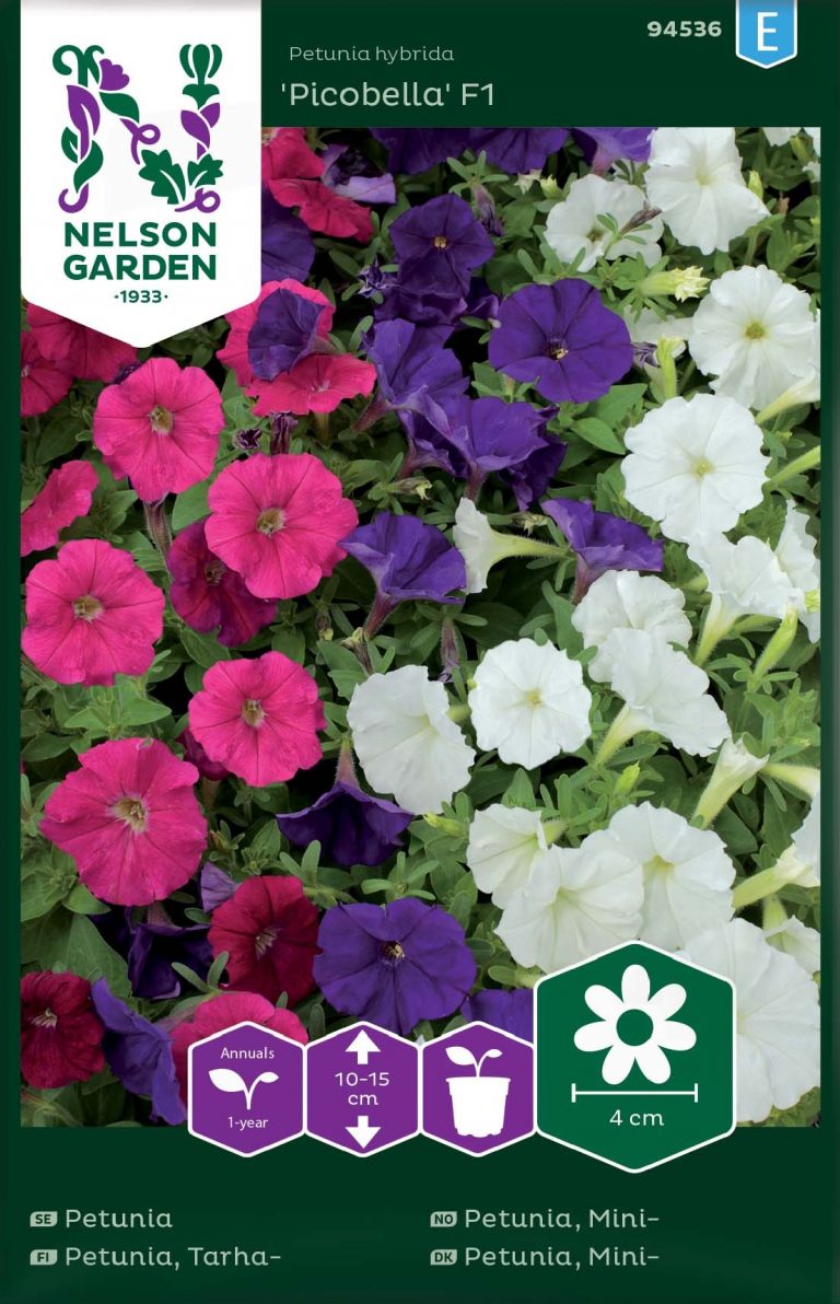 Petunia, Mini- Petunia, Mini-, Picobella F1, bl. farver - Duelunds planter