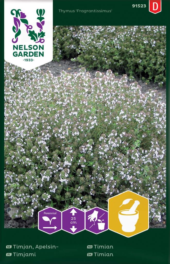 Timian - Timian, Orange scented - Duelunds planter