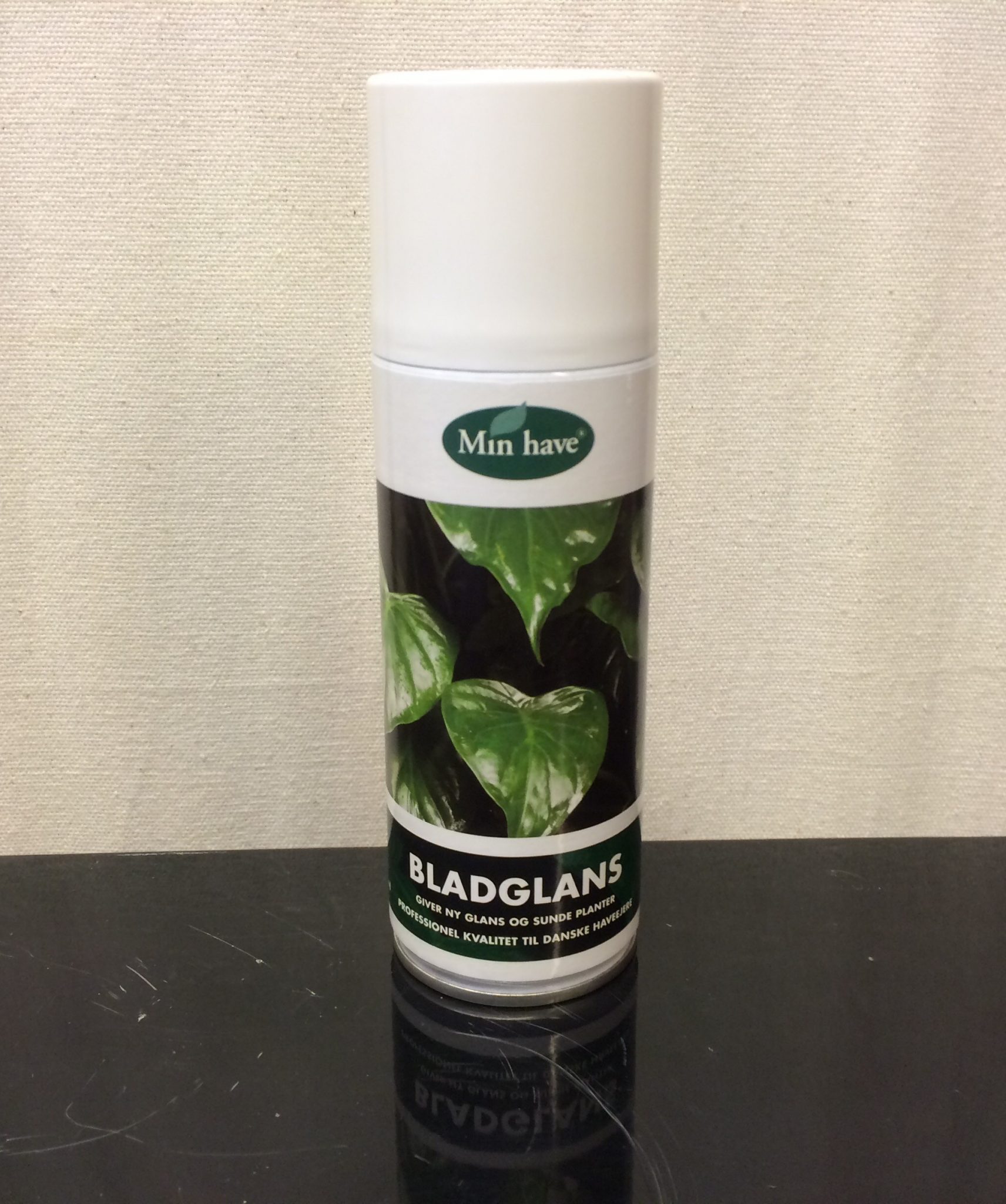 Bladglans - 200 ml. - Duelunds planter
